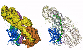 Bem vindo! | Single Molecule Microbiology